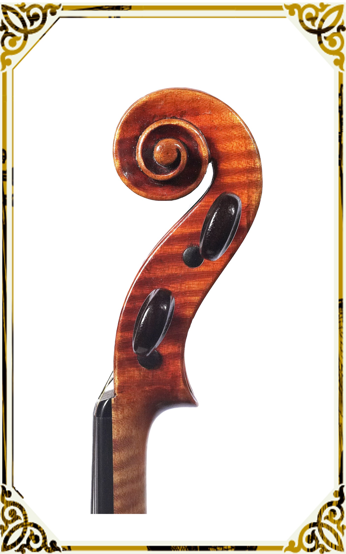 【入荷情報】Augusto Pollastri | fineviolin by atsumari